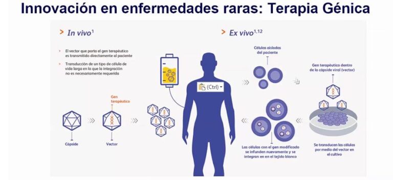 Terapia Genética En La Cura De Las Enfermedades Raras